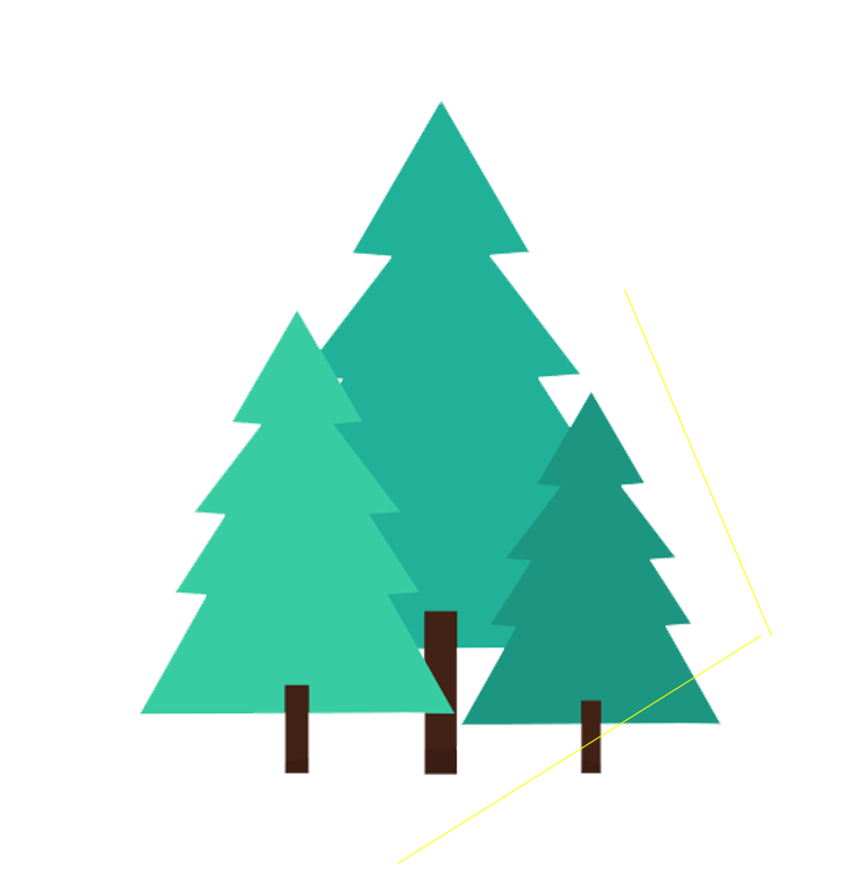 Tree Service WoodRoy | The Laurentians #1 Most Reliable Tree Service!